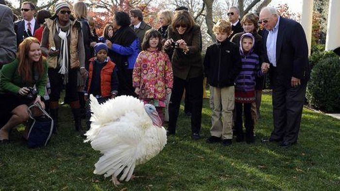 Usa/ L'America festeggia il giorno del Ringraziamento - apcom