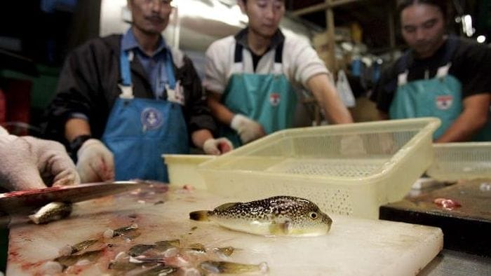 Fukushima:record di pesce radioattivo - Europa