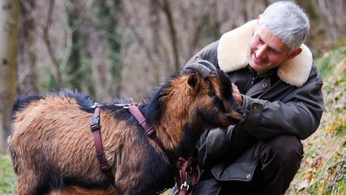 «Vita dura con la capretta per la burocrazia» - Cronaca