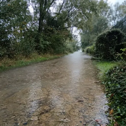 Olginate: il lago è esondato, alzaia chiusa - Cronaca, Olginate