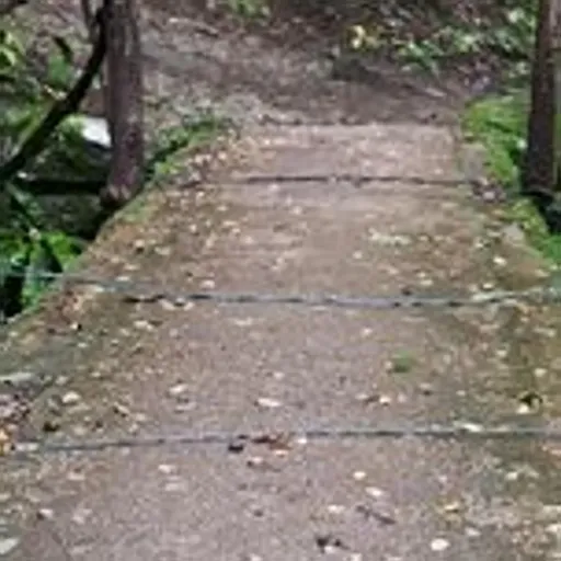 «Cavi tirati fra alberi a poche spanne da terra»: una trappola per ...