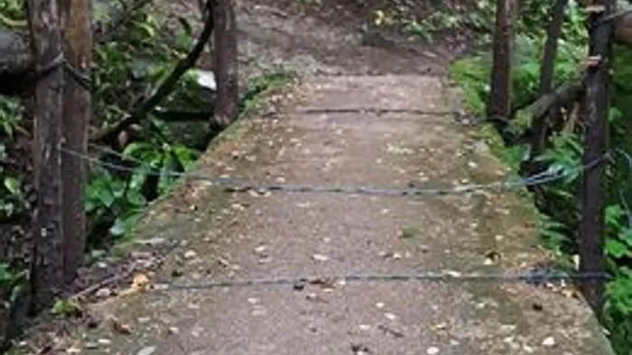 «Cavi tirati fra alberi a poche spanne da terra»: una trappola per ...