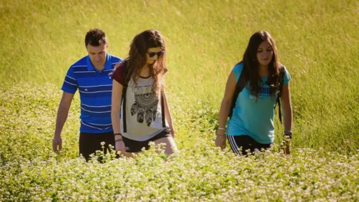Teglio, camminata tra i campi di grano saraceno in fiore - Cultura e ...