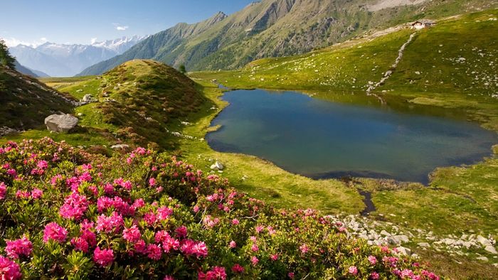 Il Parco delle Orobie celebra le sue guide con una festa e un concorso ...