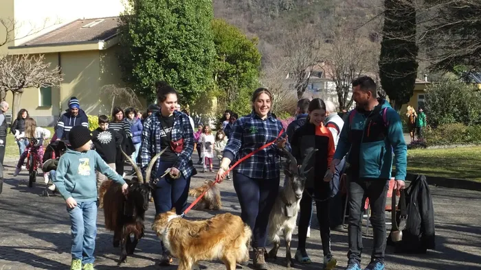 Nuova Olonio: “Ciama l’erba”, la tradizione sfida il carnevale - Cronaca