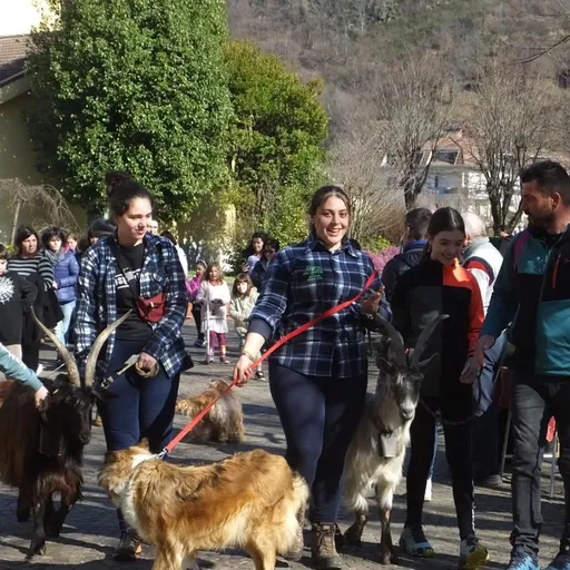 Nuova Olonio: “Ciama l’erba”, la tradizione sfida il carnevale - Cronaca