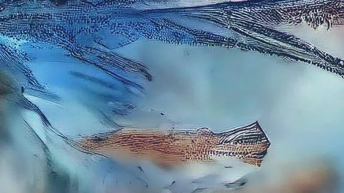 Dall'IA la musica dei terremoti, i tracciati diventano note - Ansa ...