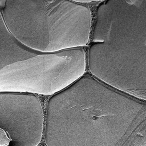 Ricostruito in laboratorio il primo Rna, alle origini della vita - Ansa ...