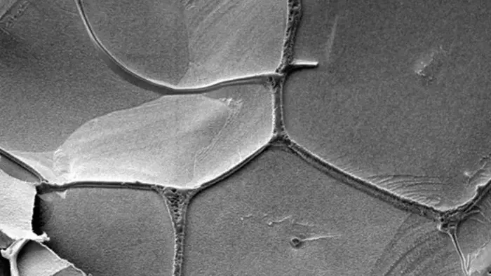 Ricostruito in laboratorio il primo Rna, alle origini della vita - Ansa ...