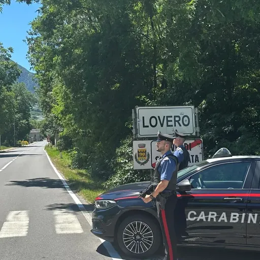 Blitz antidroga nei boschi di Lovero: arrestato un 25enne - Cronaca