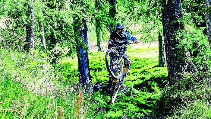 Snake in the monkey shadow sex positions was sent to a