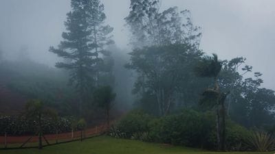 video Video Pillole dall'Italia e dal mondoLa Provincia Unica Tv ...