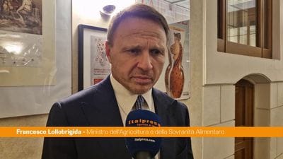 video Video Pillole dall'Italia e dal mondoLa Provincia Unica Tv ...