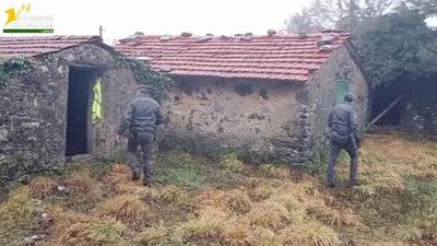 video Video Pillole dall'Italia e dal mondoLa Provincia Unica Tv ...