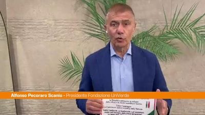 video Video Pillole dall'Italia e dal mondoLa Provincia Unica Tv ...