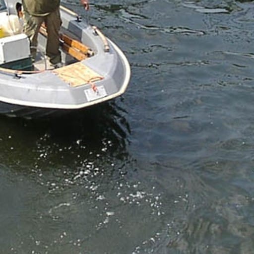 Lierna: chiazza di gasolio nel lago, individuati i responsabili ...