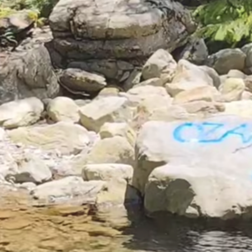 Una dedica al cane sul greto del fiume, «Capiamo ma deturpa l’ambiente ...